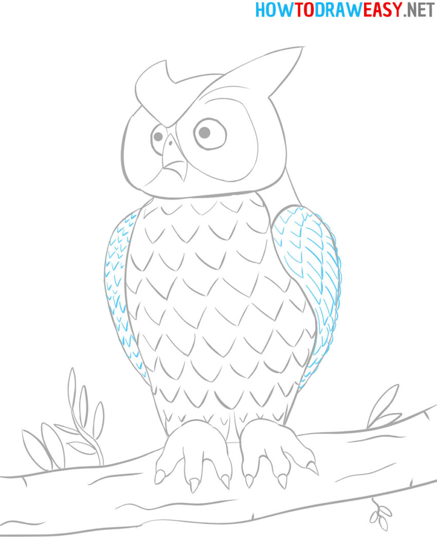 How to Draw an Owl - How to Draw Easy