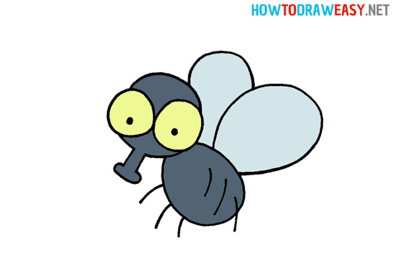 How to Draw a Fly for Kids - How to Draw Easy