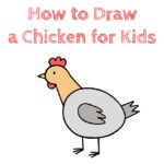 How to Draw a Chicken for Kids - How to Draw Easy