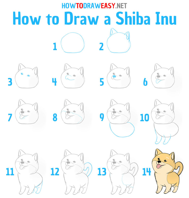 How to Draw a Shiba Inu - How to Draw Easy