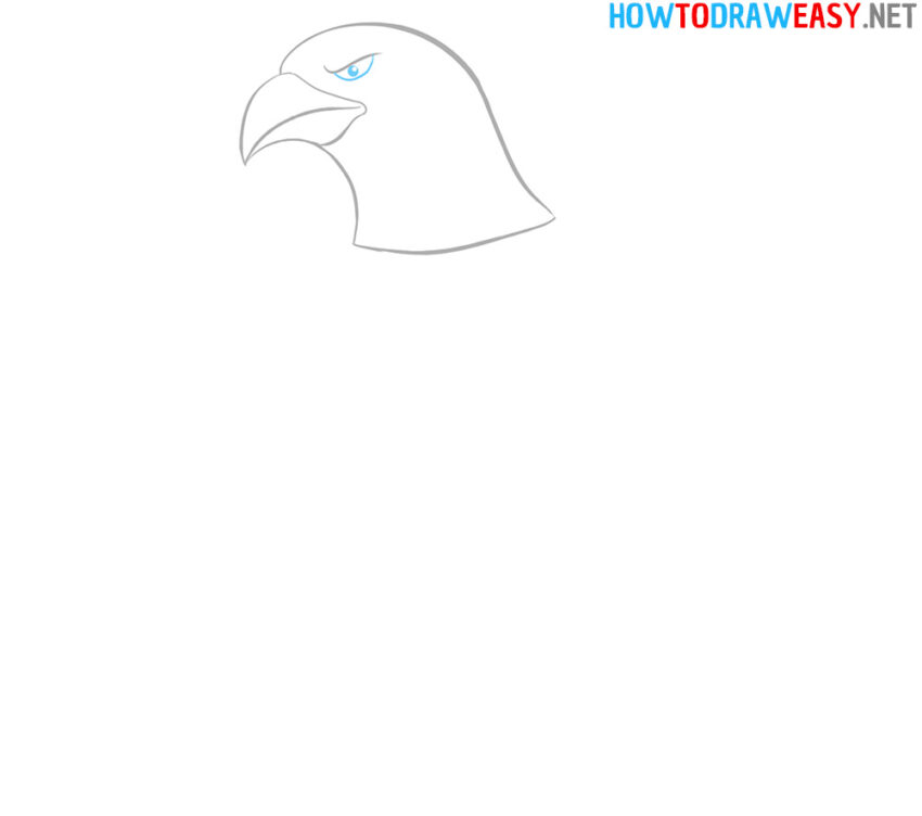 How to Draw an Eagle Easy - How to Draw Easy