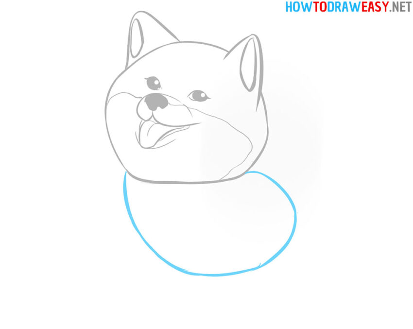 How to Draw a Shiba Inu - How to Draw Easy