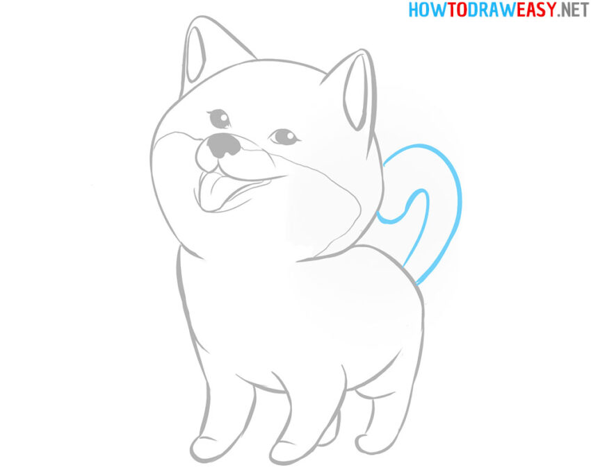 How to Draw a Shiba Inu - How to Draw Easy