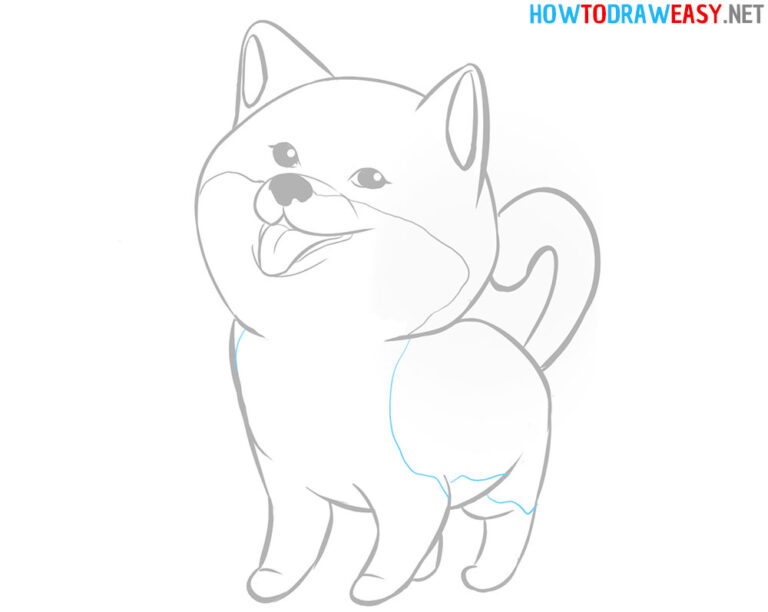 How to Draw a Shiba Inu - How to Draw Easy