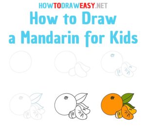 How to Draw a Mandarin for Kids - How to Draw Easy
