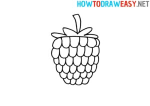 How to Draw a Raspberry for Kids - How to Draw Easy