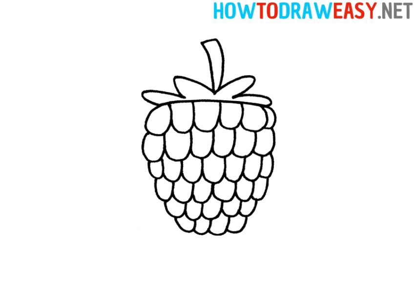 How to Draw a Raspberry for Kids - How to Draw Easy
