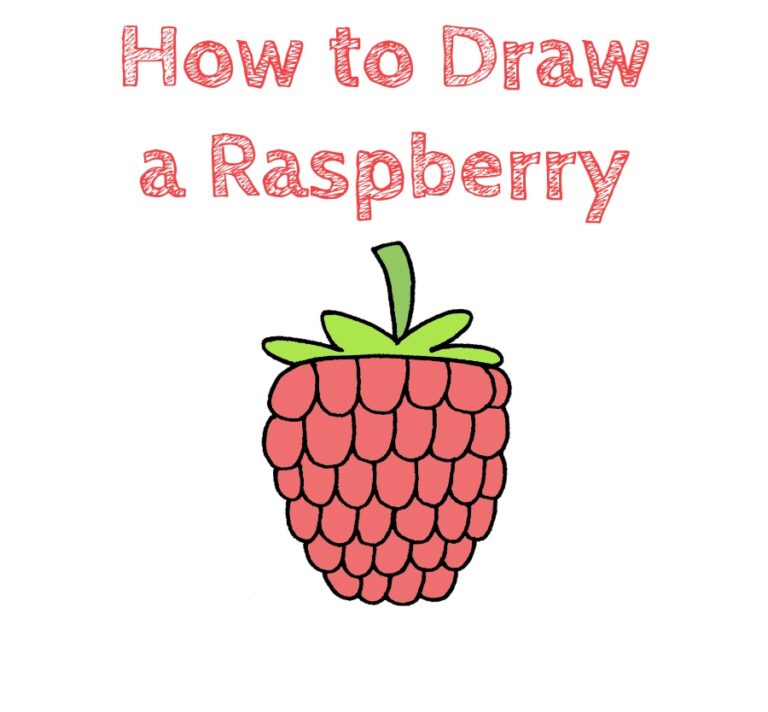 How to Draw a Raspberry for Kids - How to Draw Easy