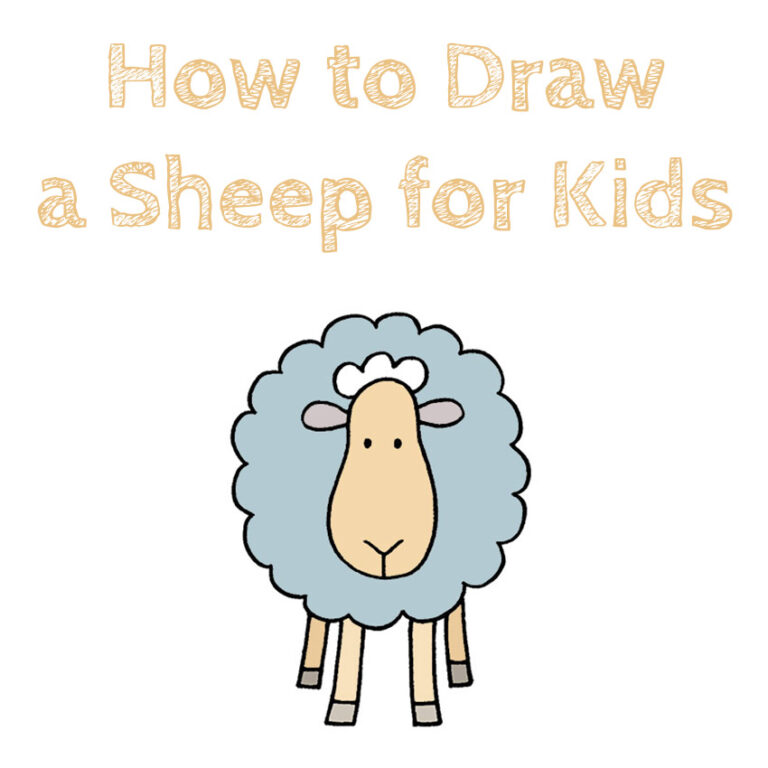 How to Draw a Sheep for Kids - How to Draw Easy