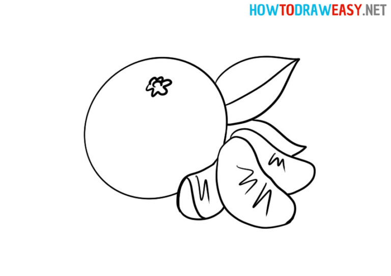 How to Draw a Mandarin for Kids - How to Draw Easy
