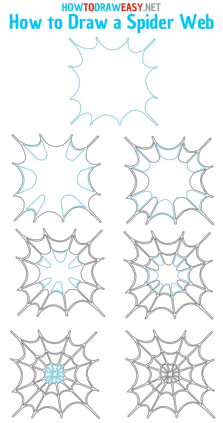 How to Draw a Spider Web Easy - How to Draw Easy
