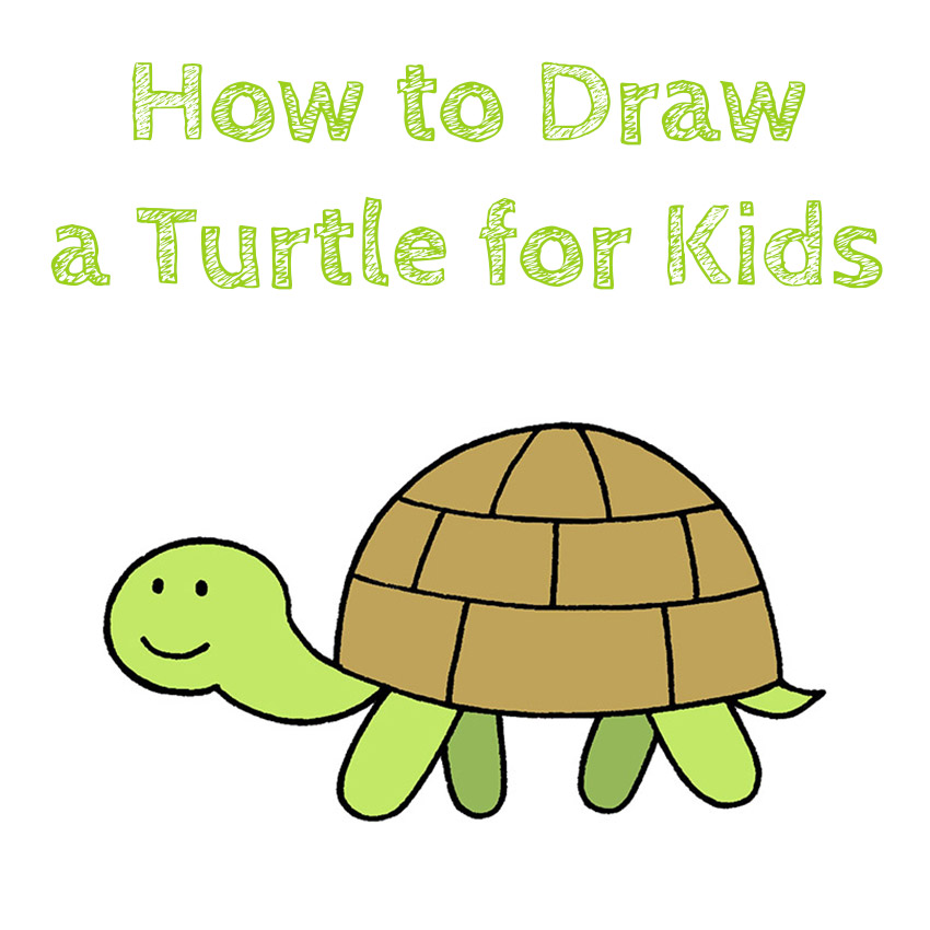 How To Draw A Turtle Art For Kids Hub Vrogue co