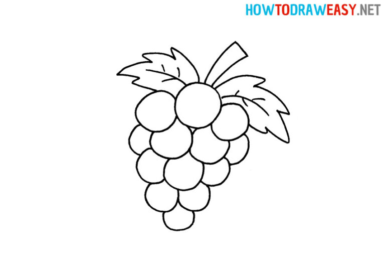 How to Draw Grapes for Kids - How to Draw Easy
