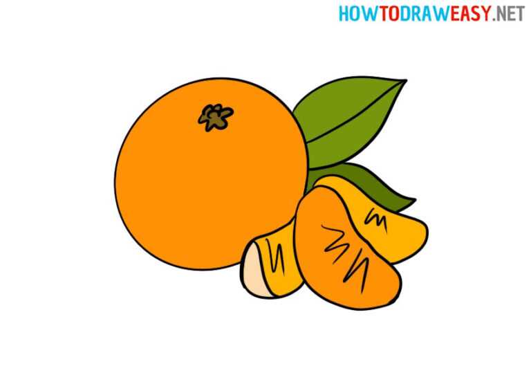How to Draw a Mandarin for Kids - How to Draw Easy