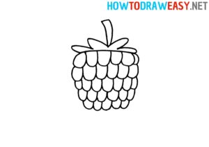 How to Draw a Raspberry for Kids - How to Draw Easy
