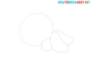 How to Draw a Mandarin for Kids - How to Draw Easy