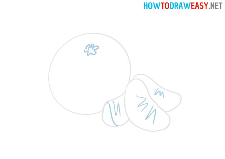 How to Draw a Mandarin for Kids - How to Draw Easy