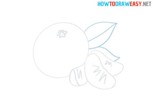 How to Draw a Mandarin for Kids - How to Draw Easy