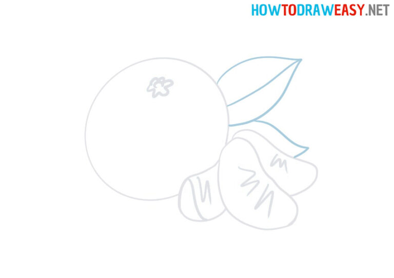 How to Draw a Mandarin for Kids - How to Draw Easy