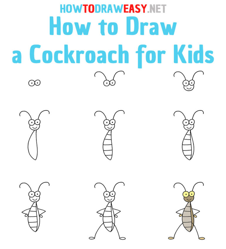 How to Draw a Cockroach for Kids - How to Draw Easy