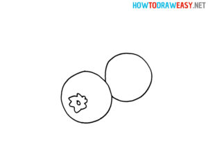 How to Draw Blueberries for Kids - How to Draw Easy