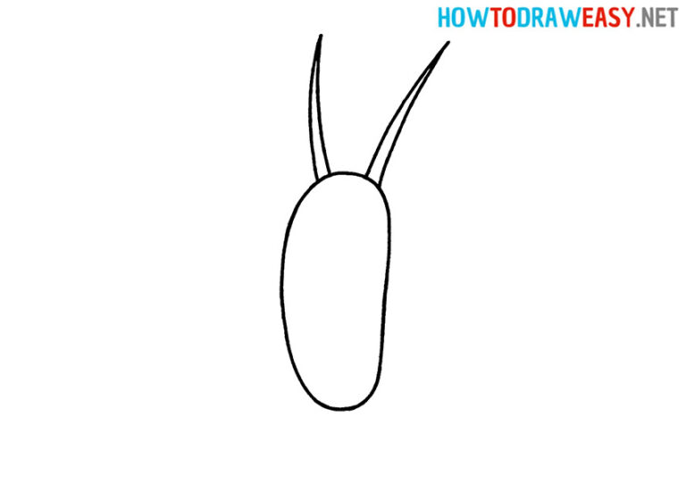 How to Draw Plankton for Kids - How to Draw Easy