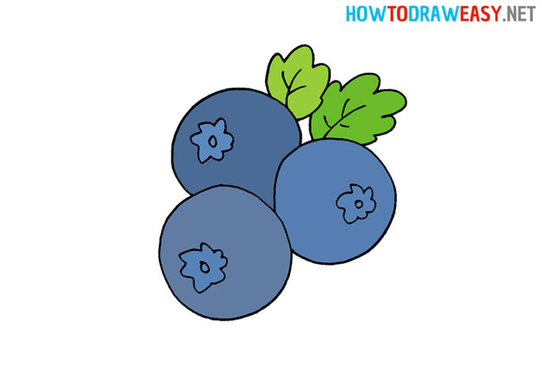 How to Draw Blueberries for Kids - How to Draw Easy