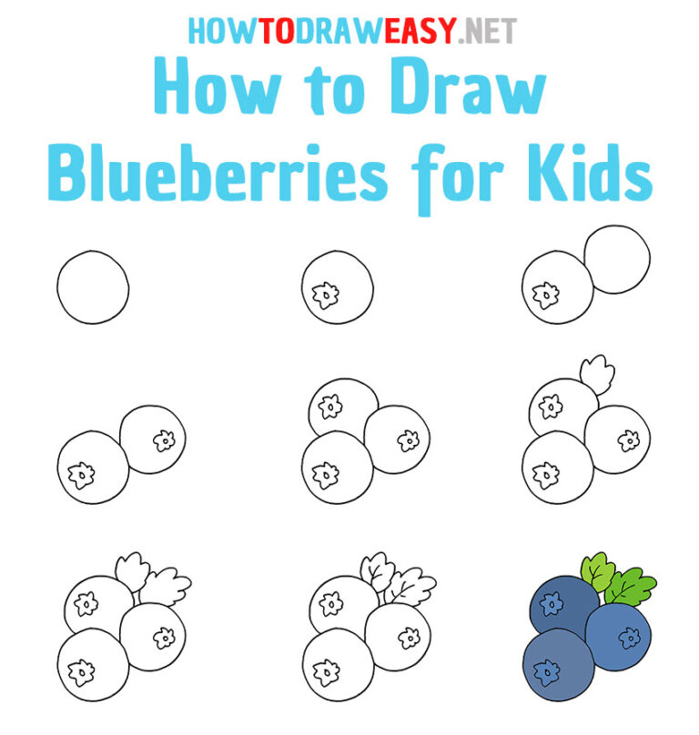 How to Draw Blueberries for Kids - How to Draw Easy