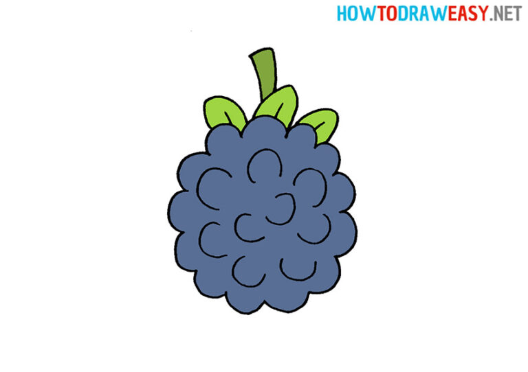 How to Draw a Blackberry for Kids - How to Draw Easy