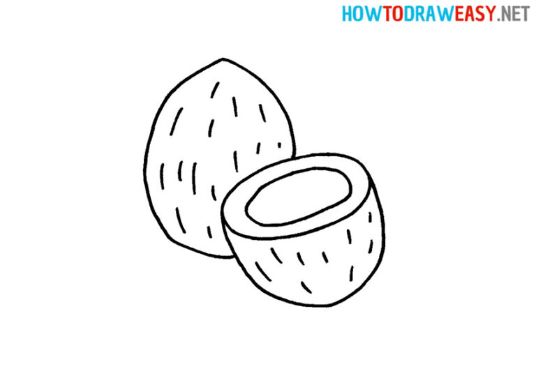 How to Draw a Coconut for Kids - How to Draw Easy