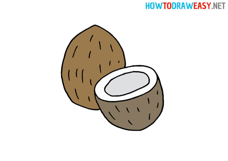 How to Draw a Coconut for Kids - How to Draw Easy