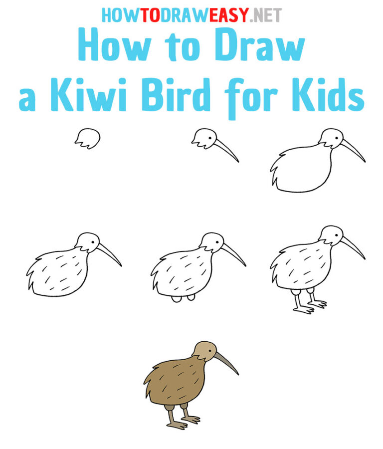 How to Draw a Kiwi Bird for Kids - How to Draw Easy