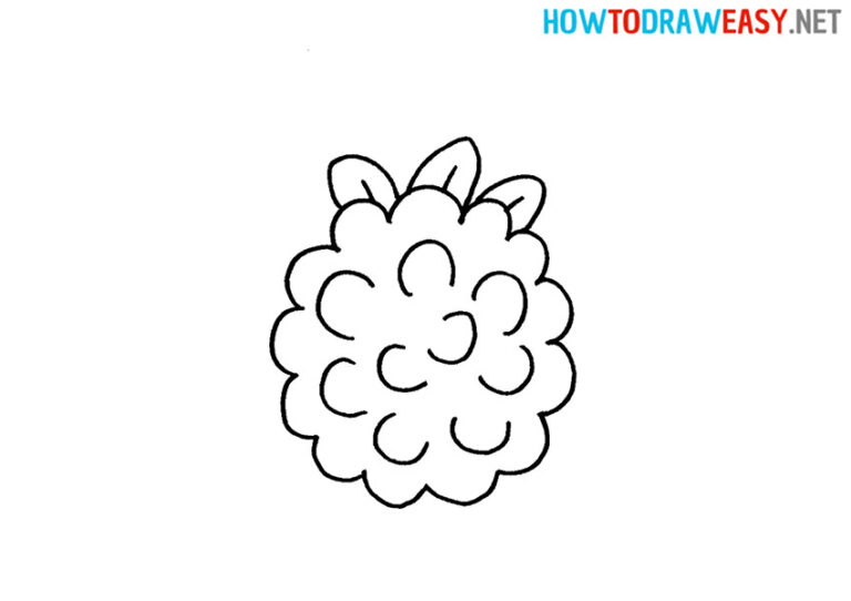 How to Draw a Blackberry for Kids - How to Draw Easy