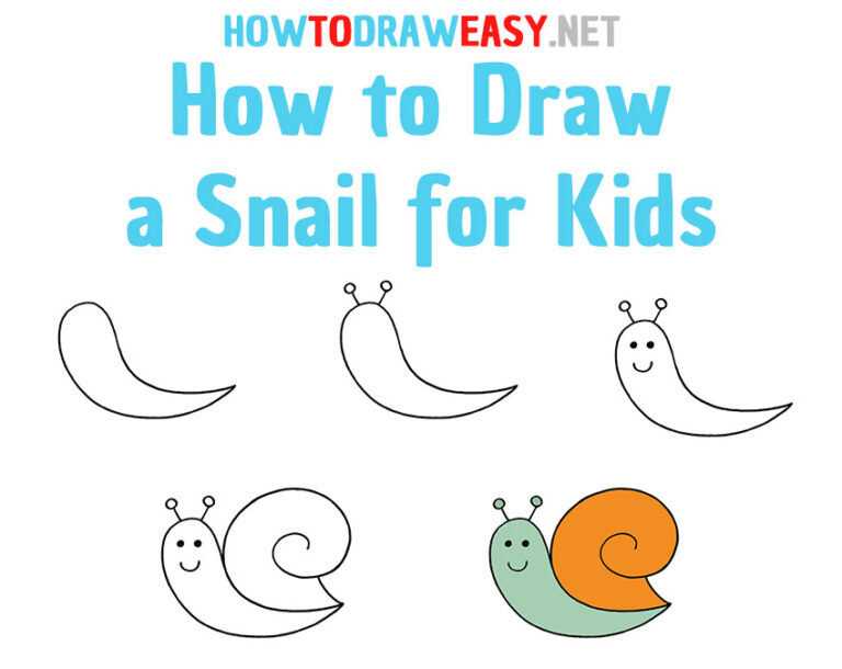 How to Draw a Snail for Kids - How to Draw Easy