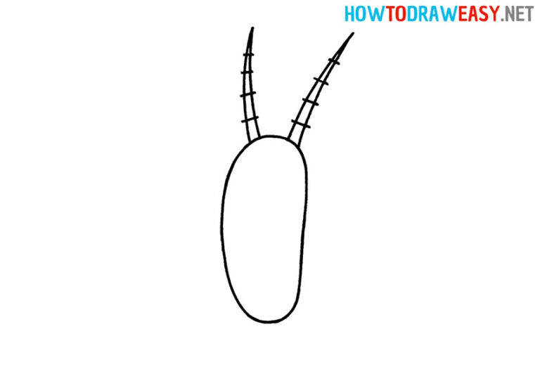 How to Draw Plankton for Kids - How to Draw Easy