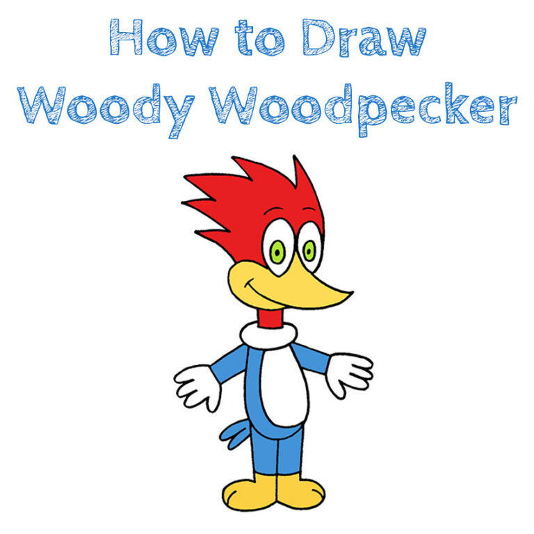 How to Draw Woody Woodpecker for Kids - How to Draw Easy