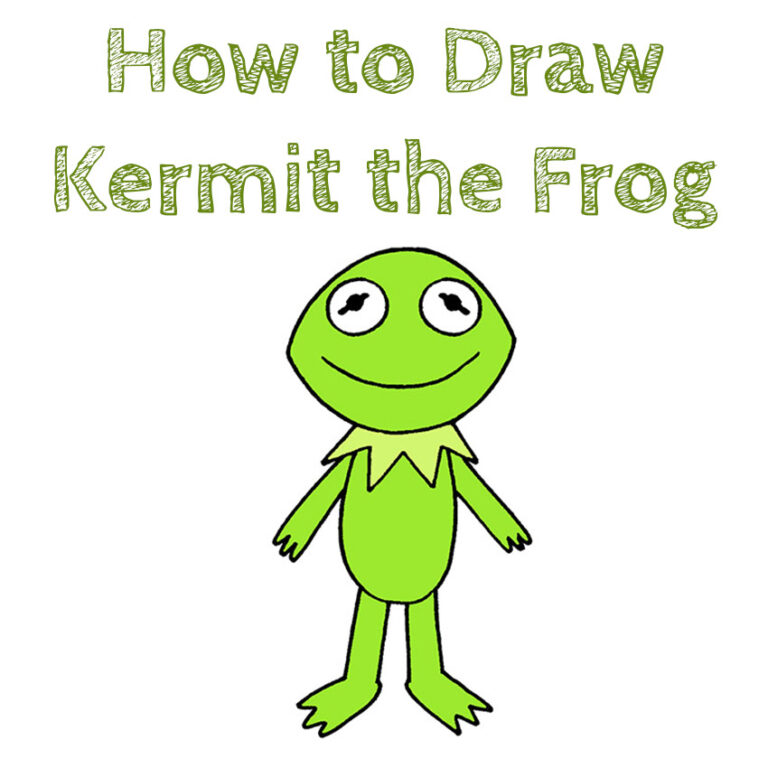 How to Draw Kermit the Frog for Kids - How to Draw Easy