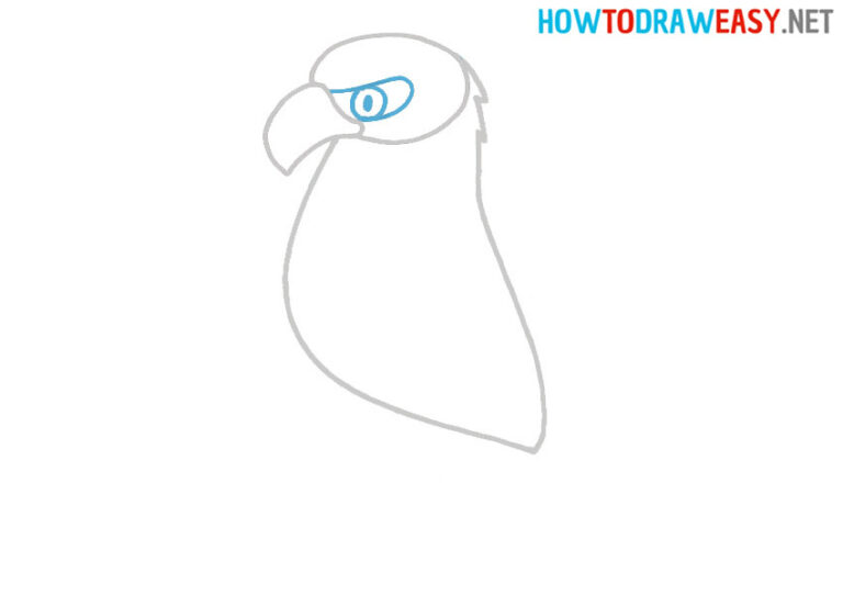 Eagle Drawing Tutorial - How to Draw Easy