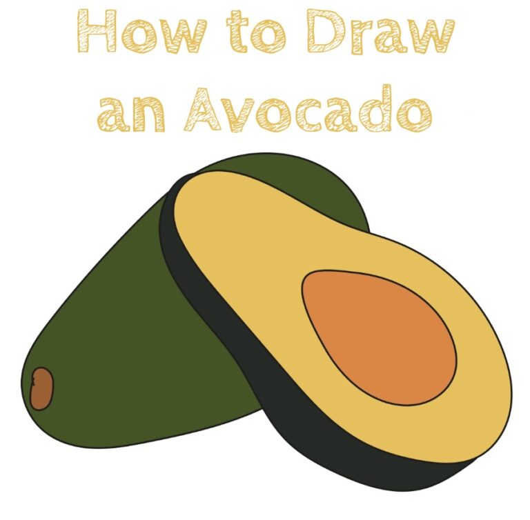 How to Draw an Easy Avocado - How to Draw Easy