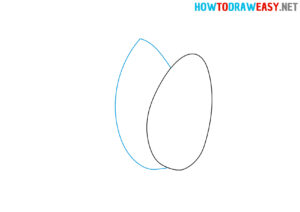 How to Draw an Almond - How to Draw Easy