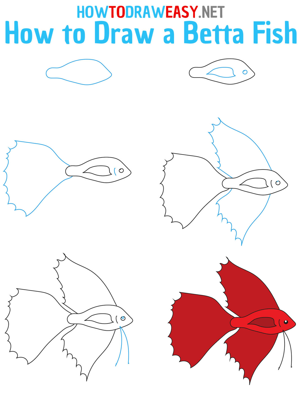How to Draw an Easy Betta Fish - How to Draw Easy