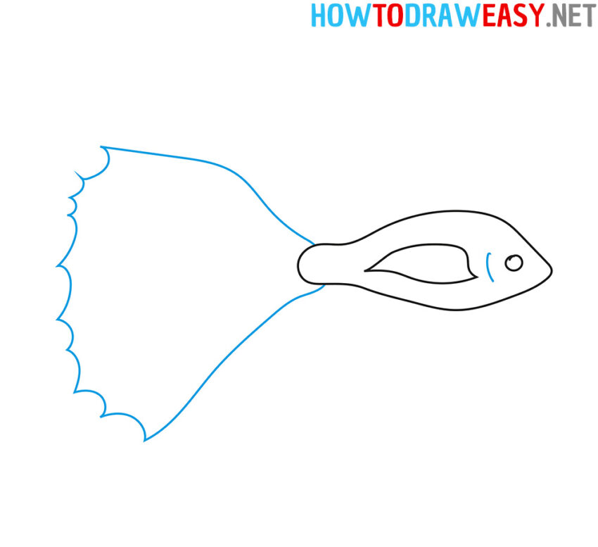 How to Draw an Easy Betta Fish - How to Draw Easy