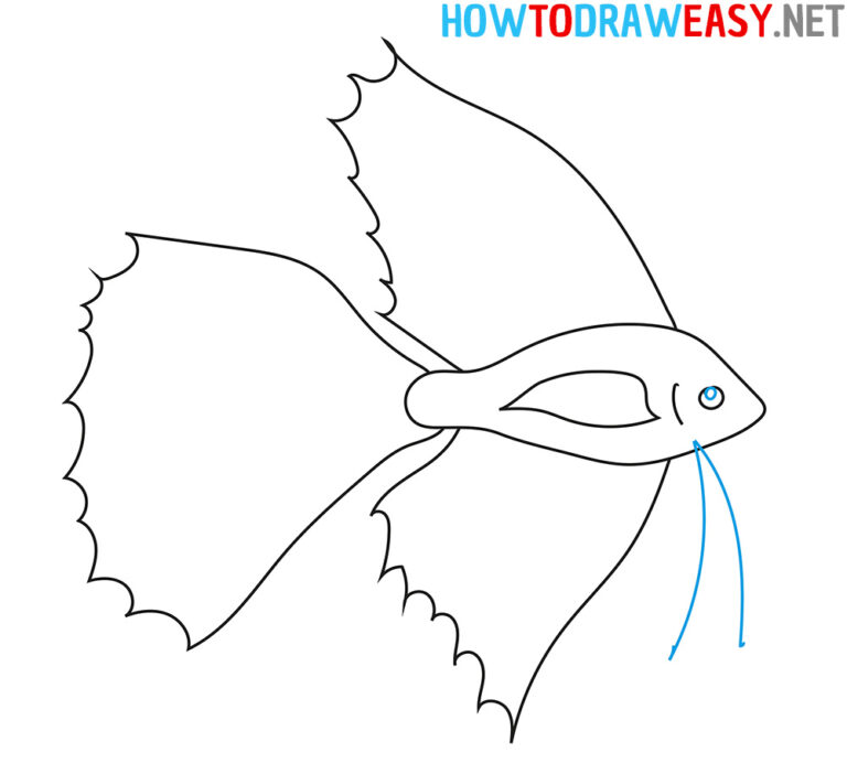How to Draw an Easy Betta Fish - How to Draw Easy