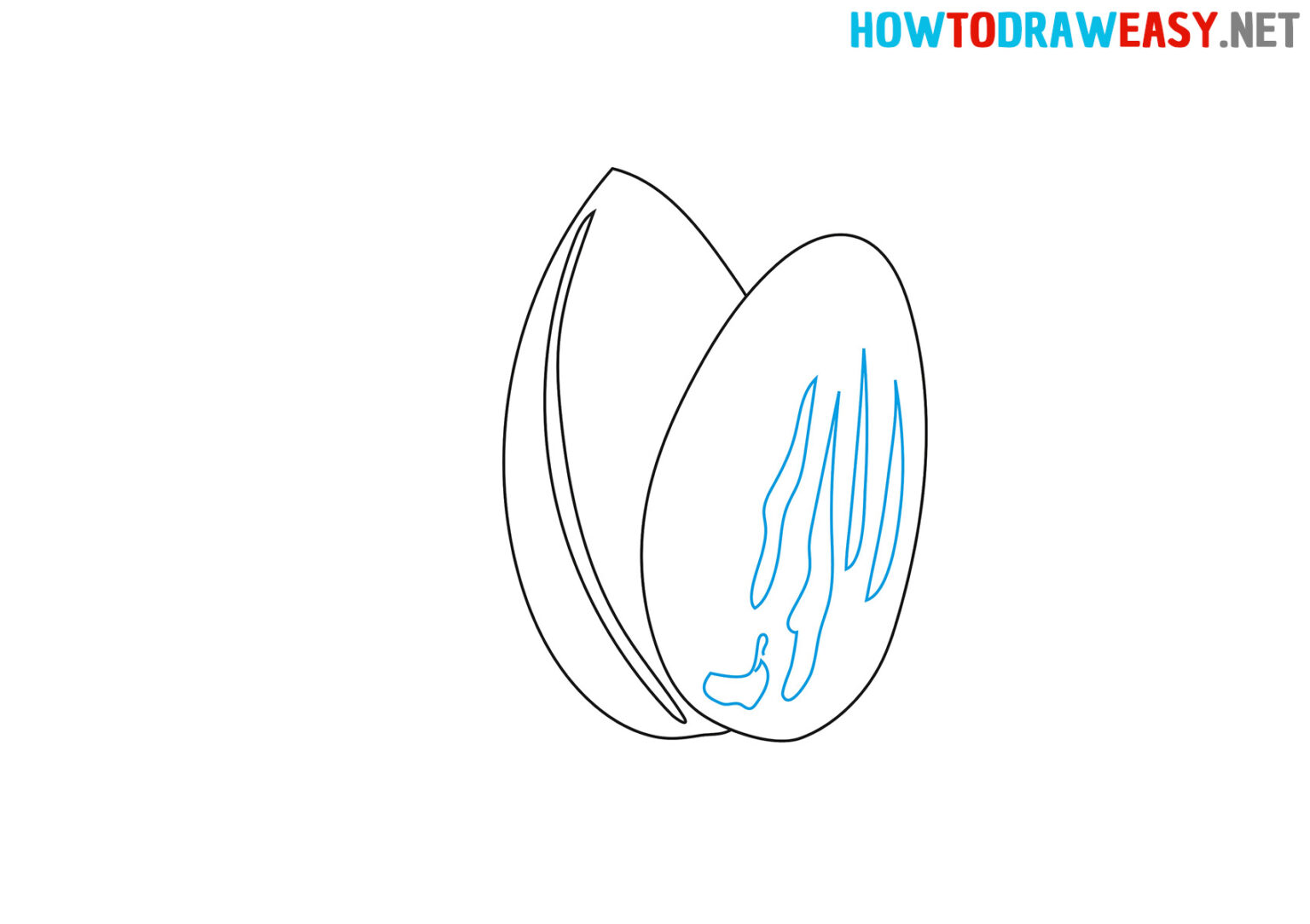How to Draw an Almond - How to Draw Easy