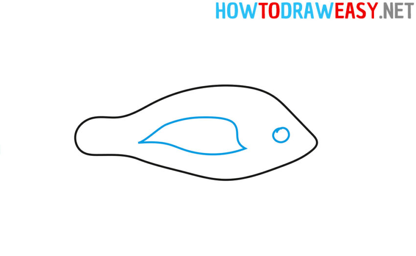 How to Draw an Easy Betta Fish - How to Draw Easy