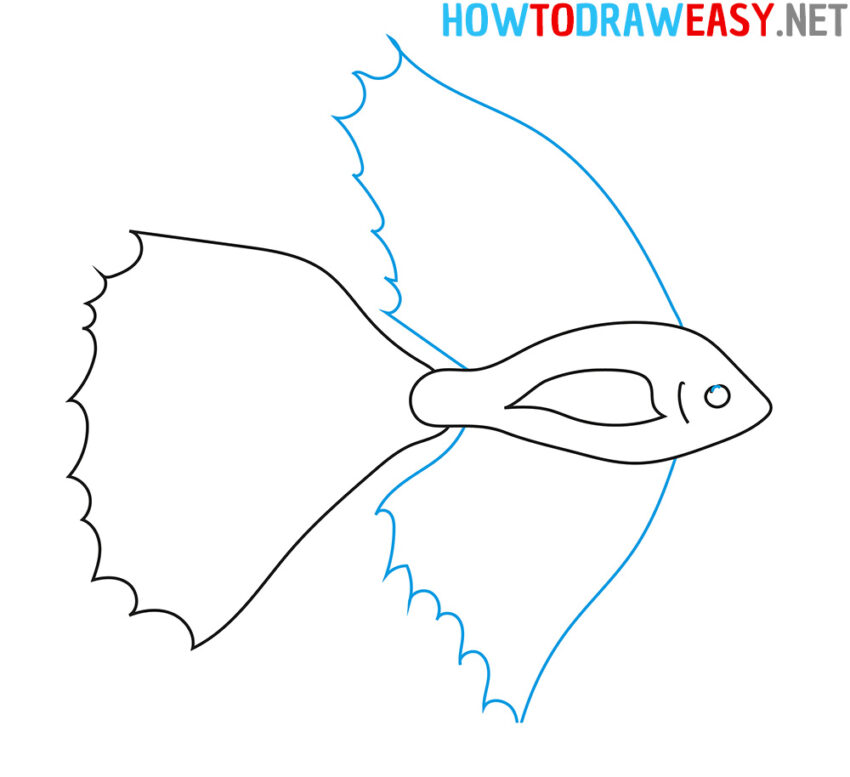How to Draw an Easy Betta Fish - How to Draw Easy