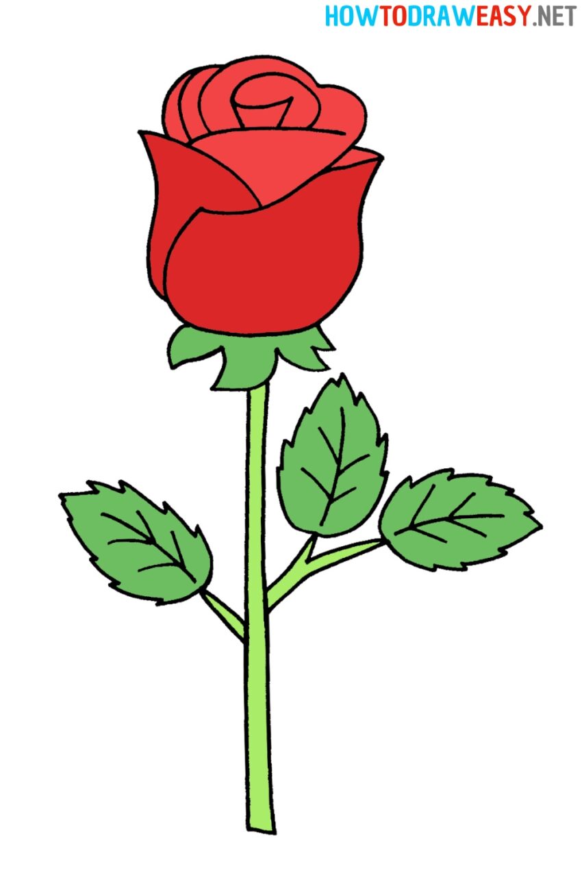 How to Draw a Rose Easy - How to Draw Easy