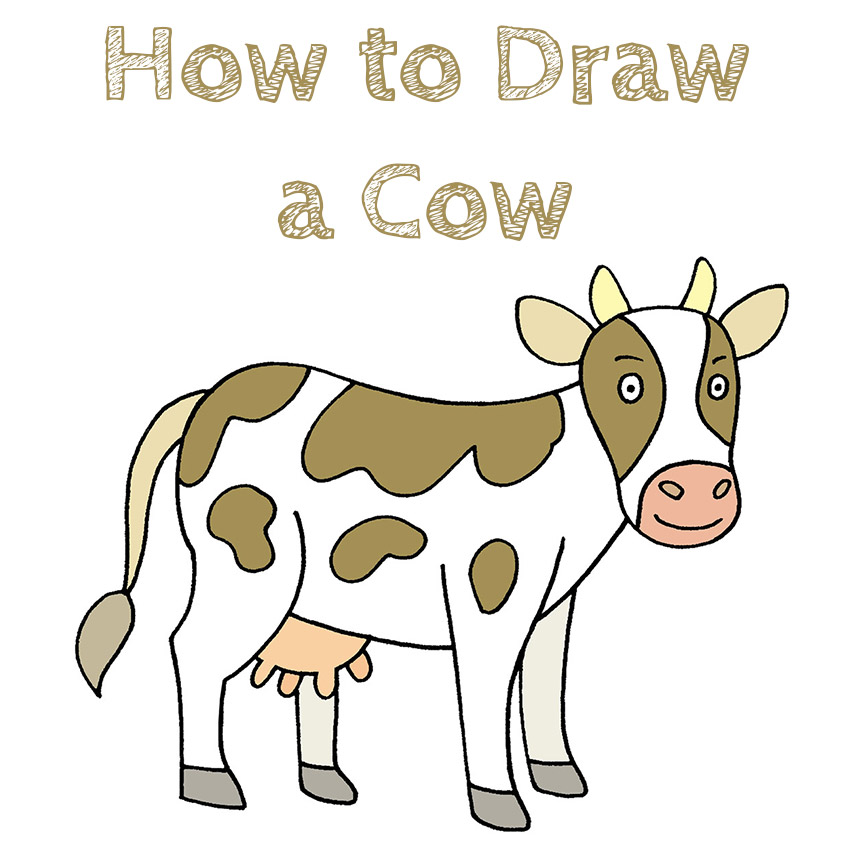 How To Draw A Cow How To Draw Easy