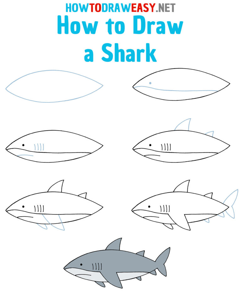 How to Draw a Shark - How to Draw Easy