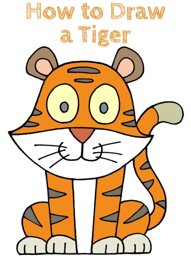 How to Draw a Tiger - How to Draw Easy